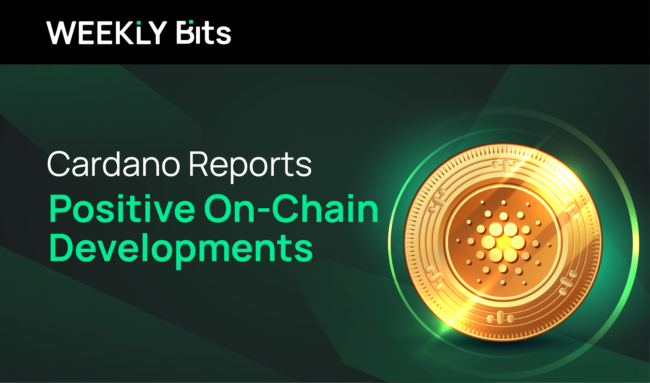 Cardano Reports Positive On-Chain Developments