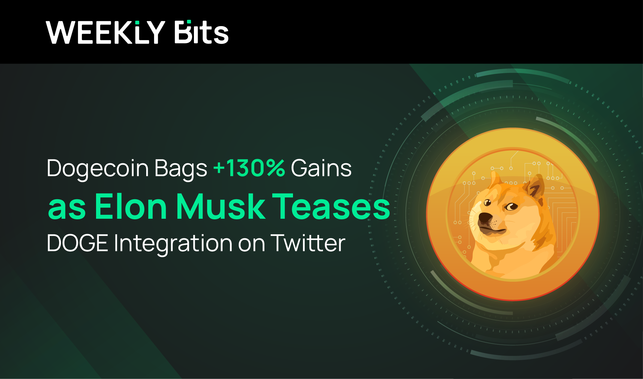 Dogecoin Bags +130% Gains as Elon Musk Teases DOGE Integration on Twitter
