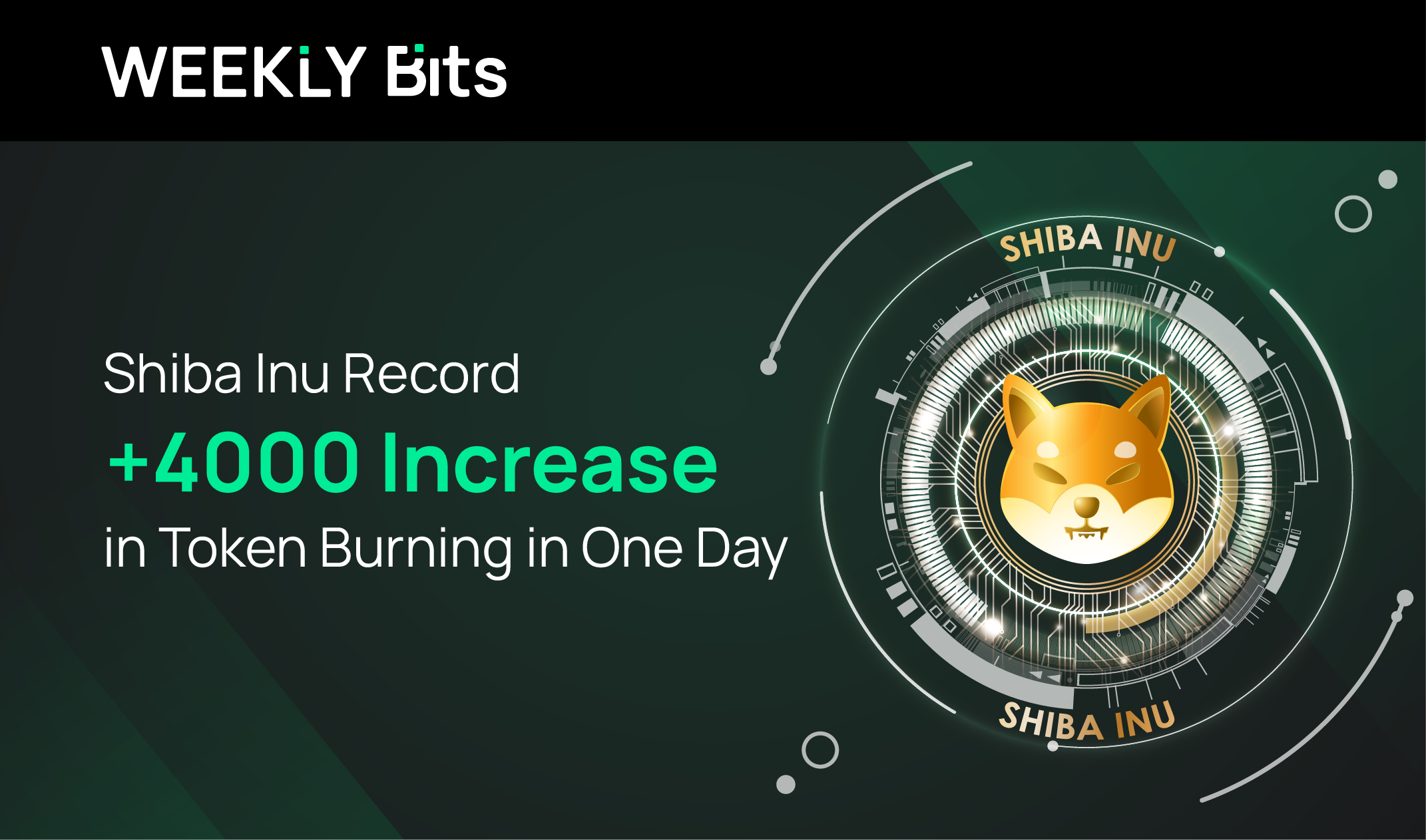 Shiba Inu Record +4000% Increase in Token Burning in One Day