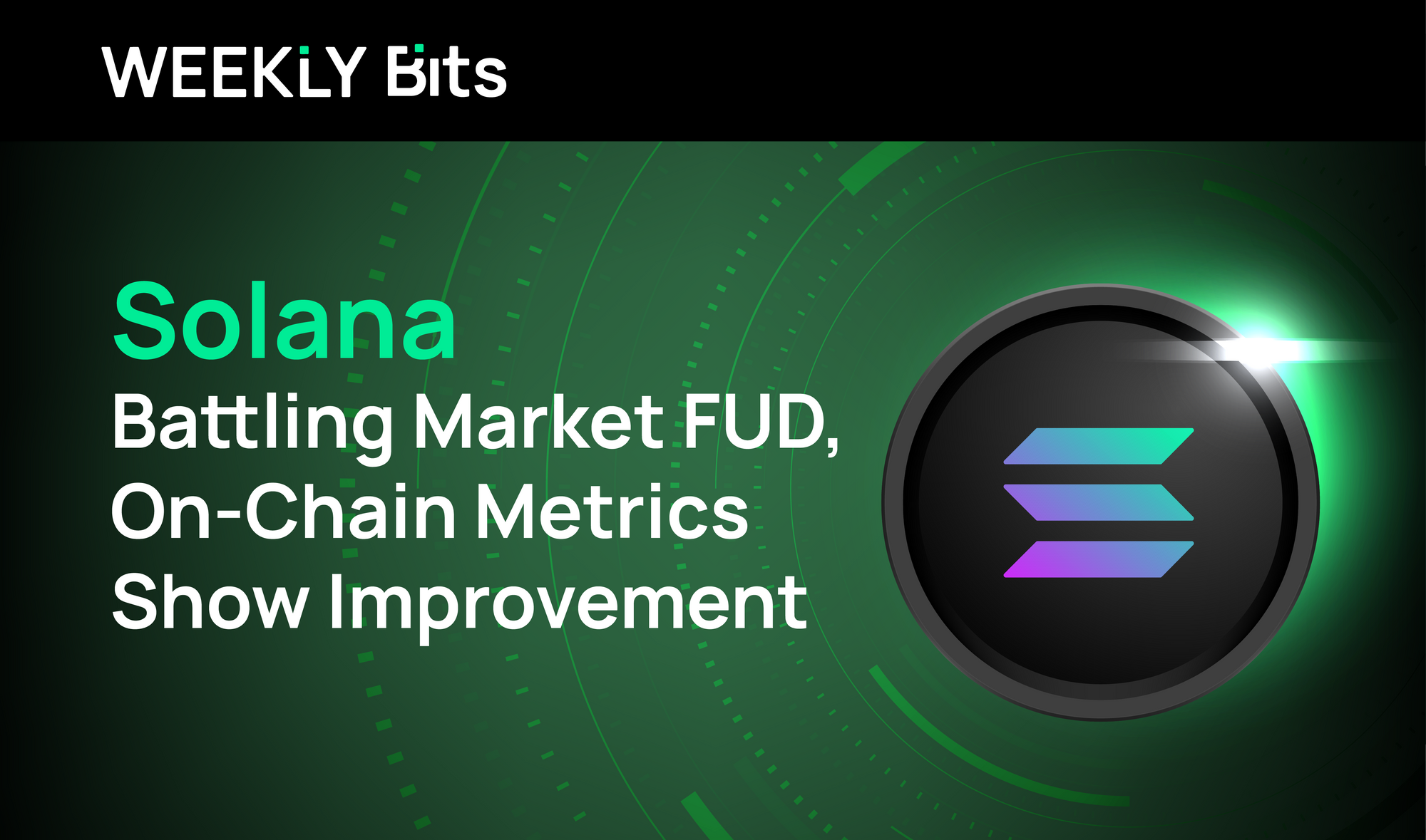 Solana Battling Market FUD, On-Chain Metrics Show Improvement