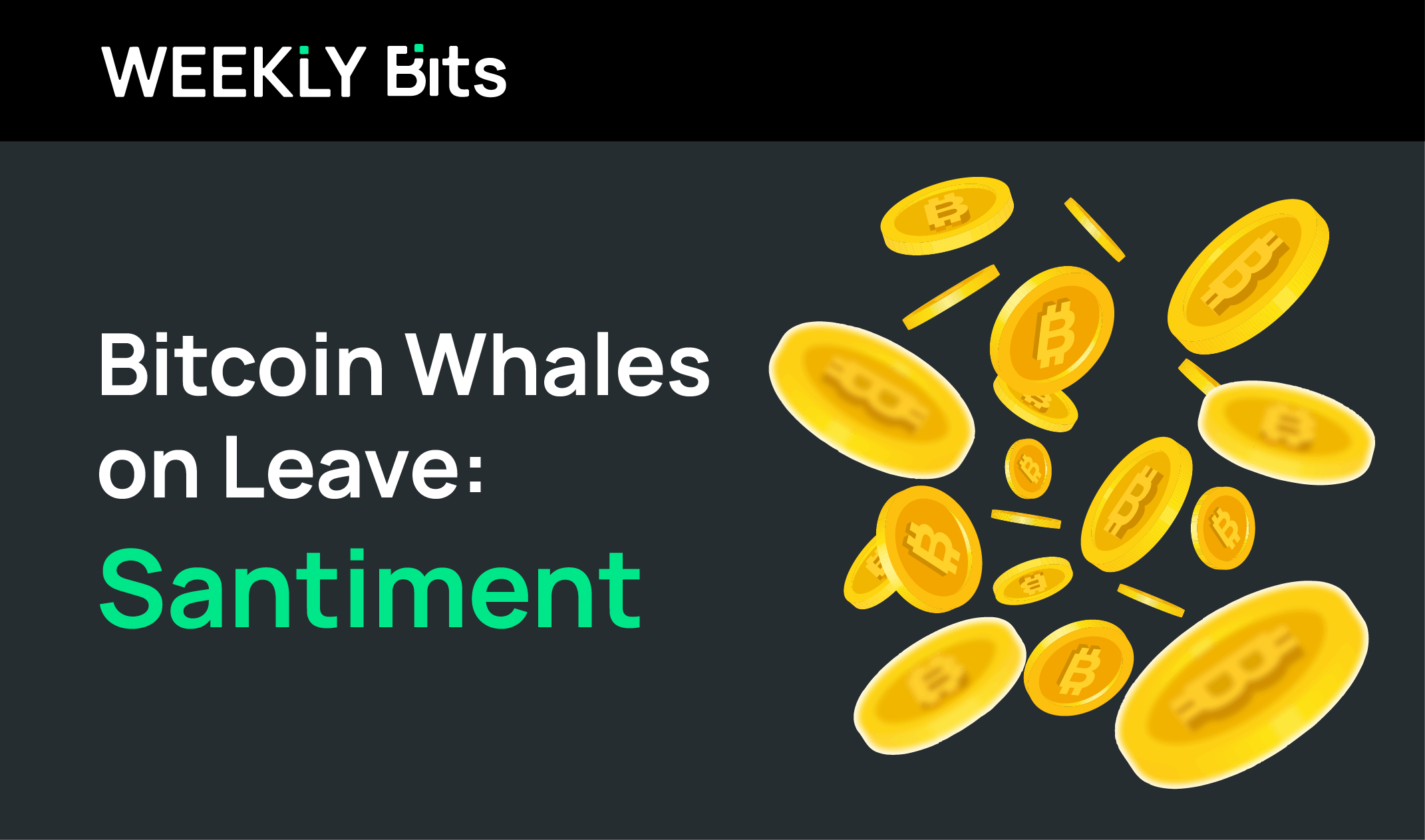 Bitcoin Whales on Leave: Santiment