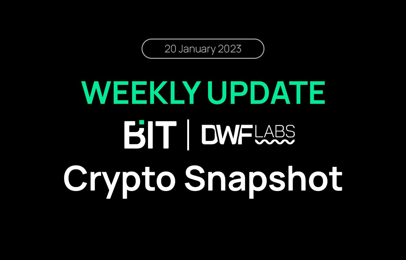 Weekly update: Crypto Snapshot