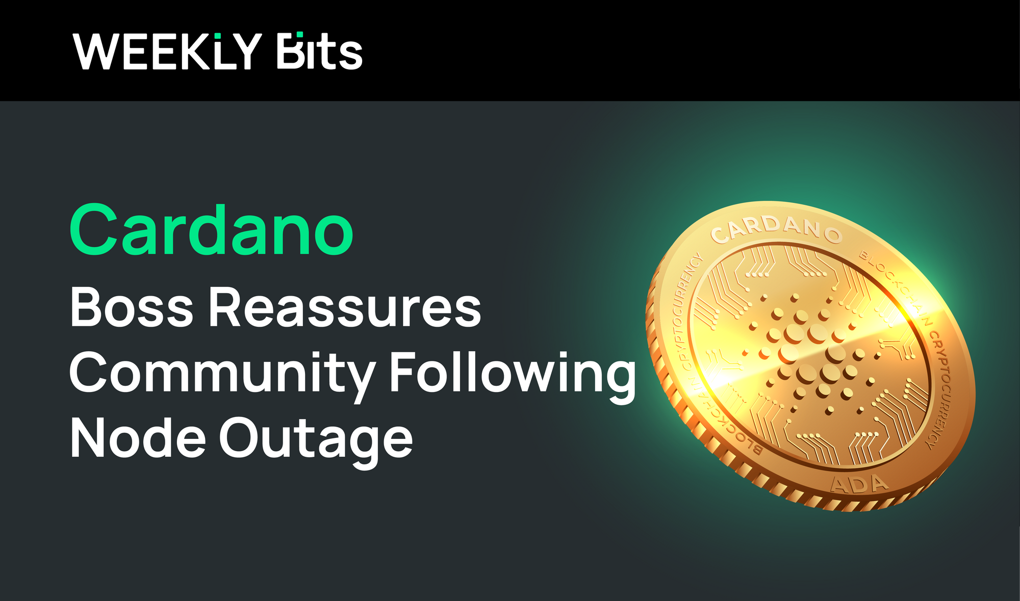 Cardano Boss Reassures Community Following Node Outage