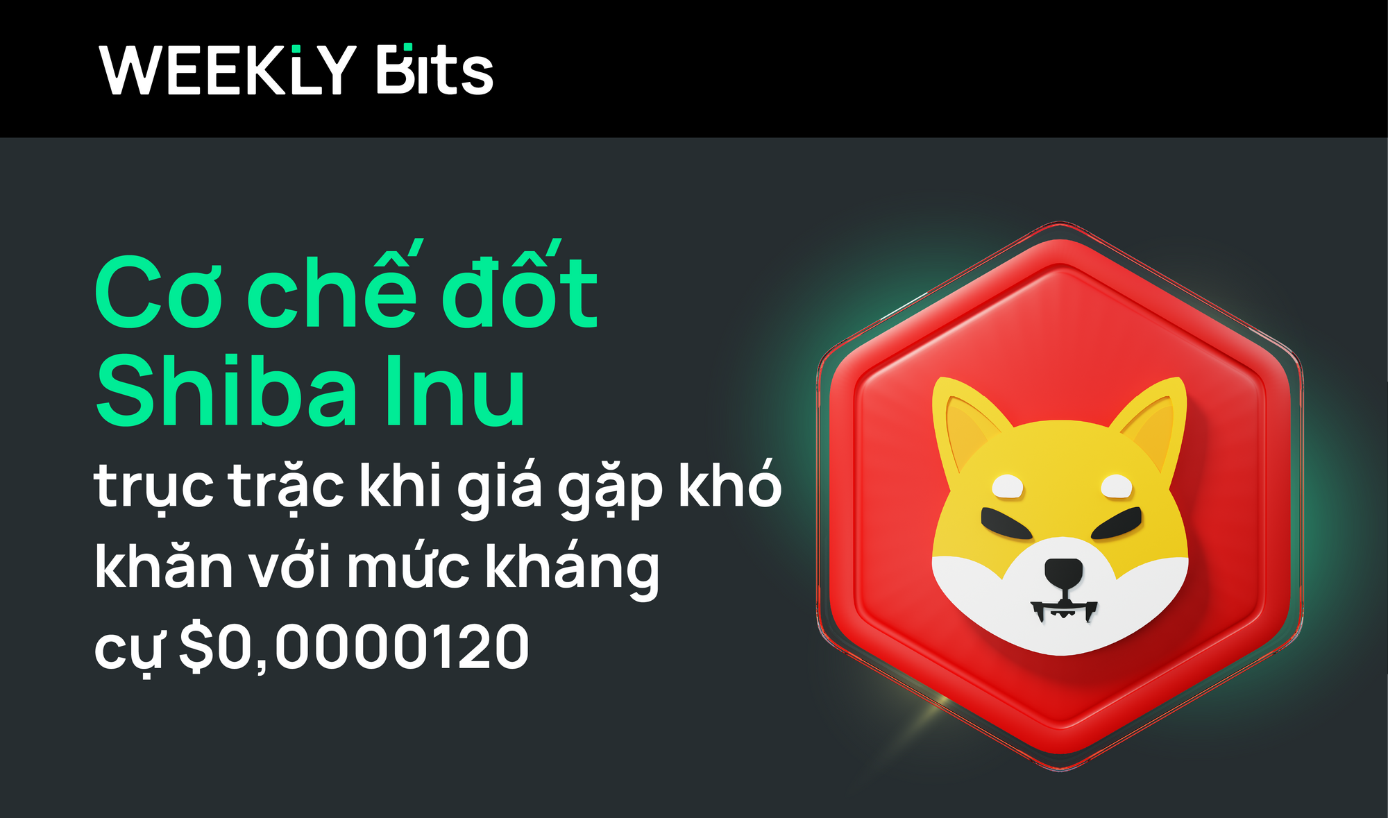 Cơ chế đốt Shiba Inu trục trặc khi giá gặp khó khăn với mức kháng cự $0,0000120