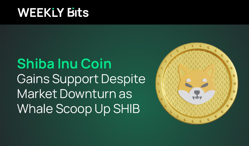 Shiba Inu Coin Gains Support Despite Market Downturn as Whale Scoop Up SHIB