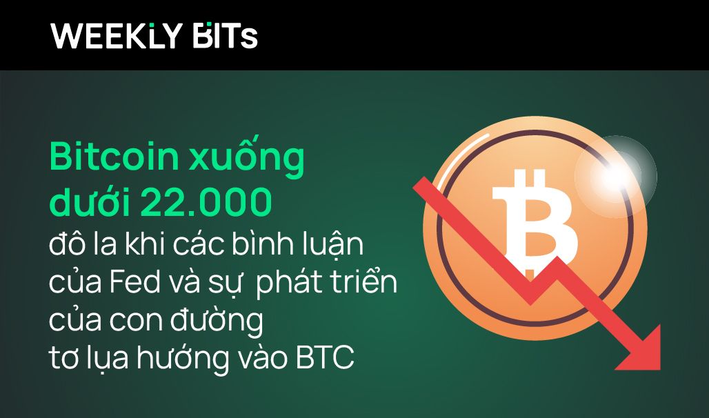 Bitcoin xuống dưới 22.000 đô la khi các bình luận của Fed và sự phát ...