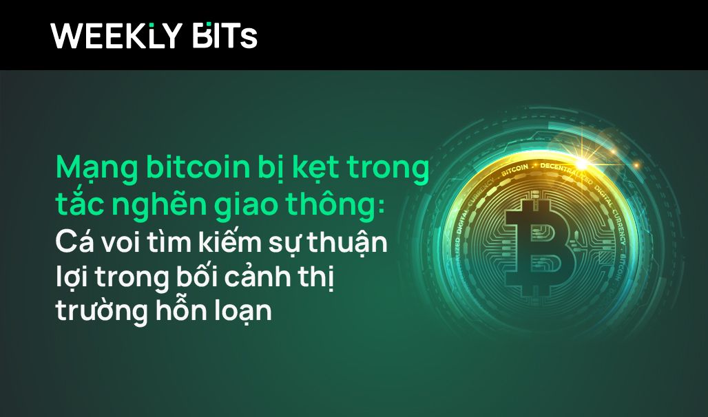 Mạng bitcoin bị kẹt trong tắc nghẽn giao thông: Cá voi tìm kiếm sự thuận lợi trong bối cảnh thị ...