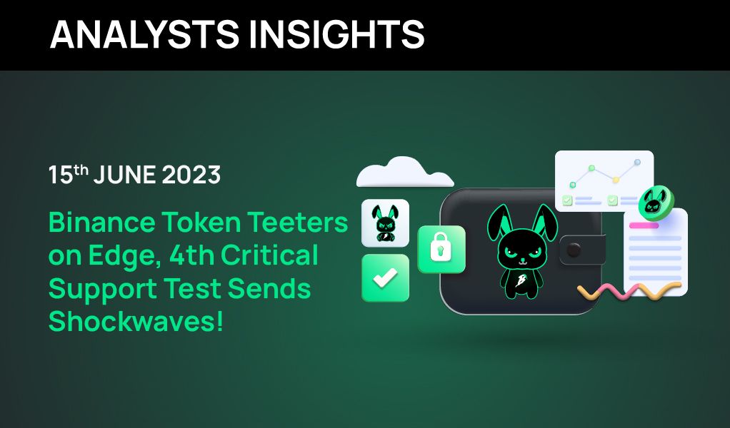 Analysts' Insights: Binance Token Teeters on Edge, 4th Critical Support ...