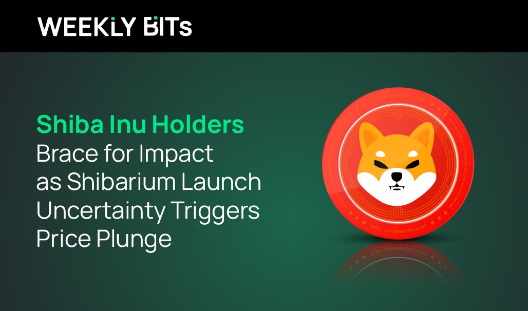 Shiba Inu Holders Brace for Impact as Shibarium Launch Uncertainty Triggers Price Plunge