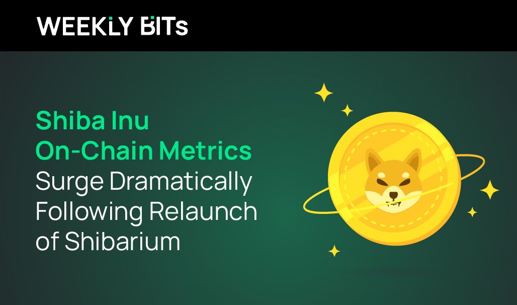 Shiba Inu On-Chain Metrics Surge Dramatically Following Relaunch of Shibarium