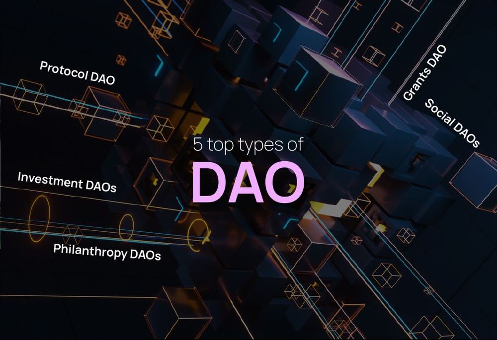 What are the different types of DAOs?