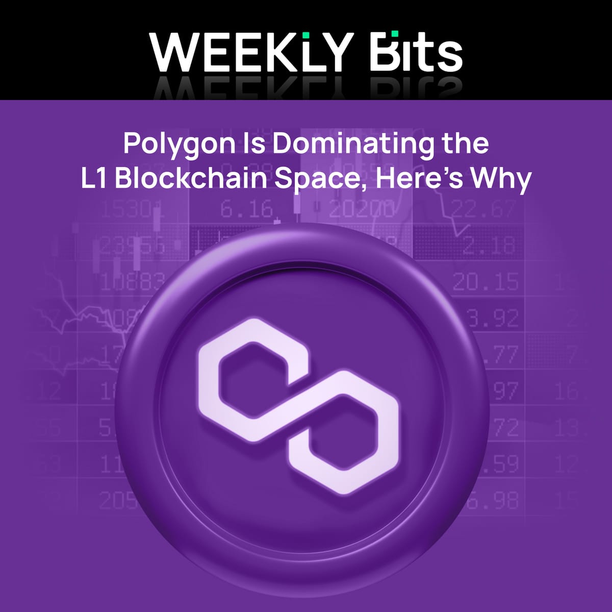Polygon Is Dominating the L1 Blockchain Space, Here’s Why