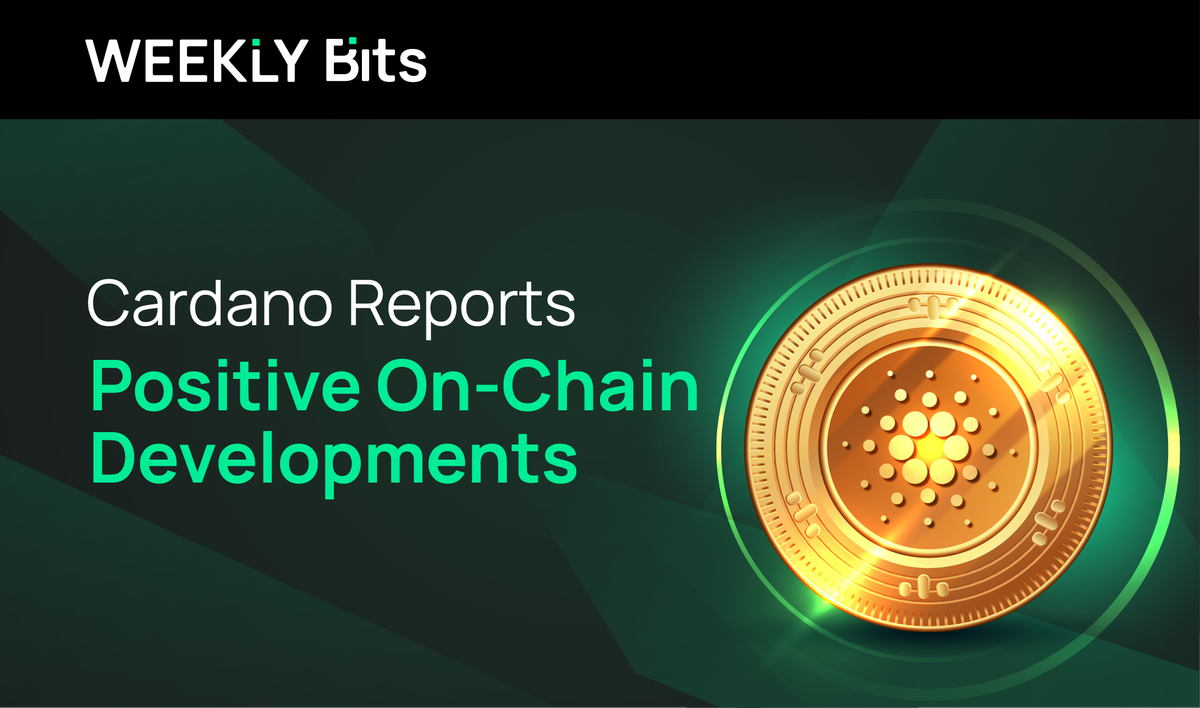 Cardano Reports Positive On-Chain Developments