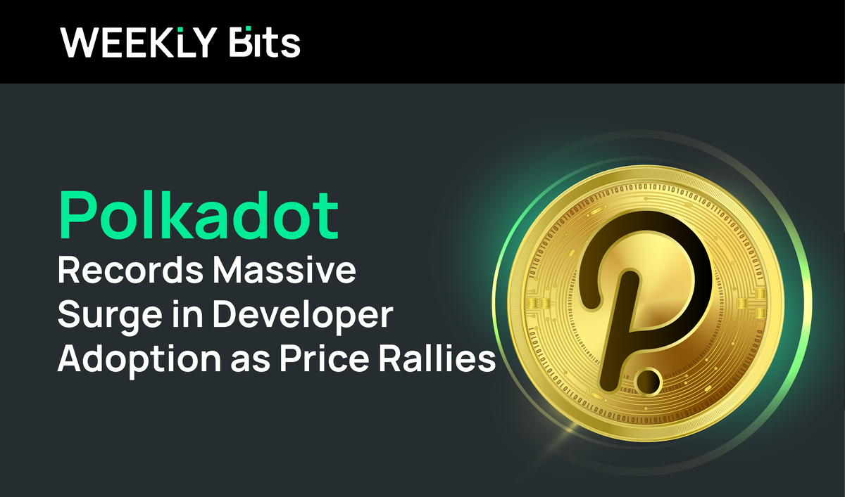 Polkadot Records Massive Surge in Developer Adoption as Price Rallies
